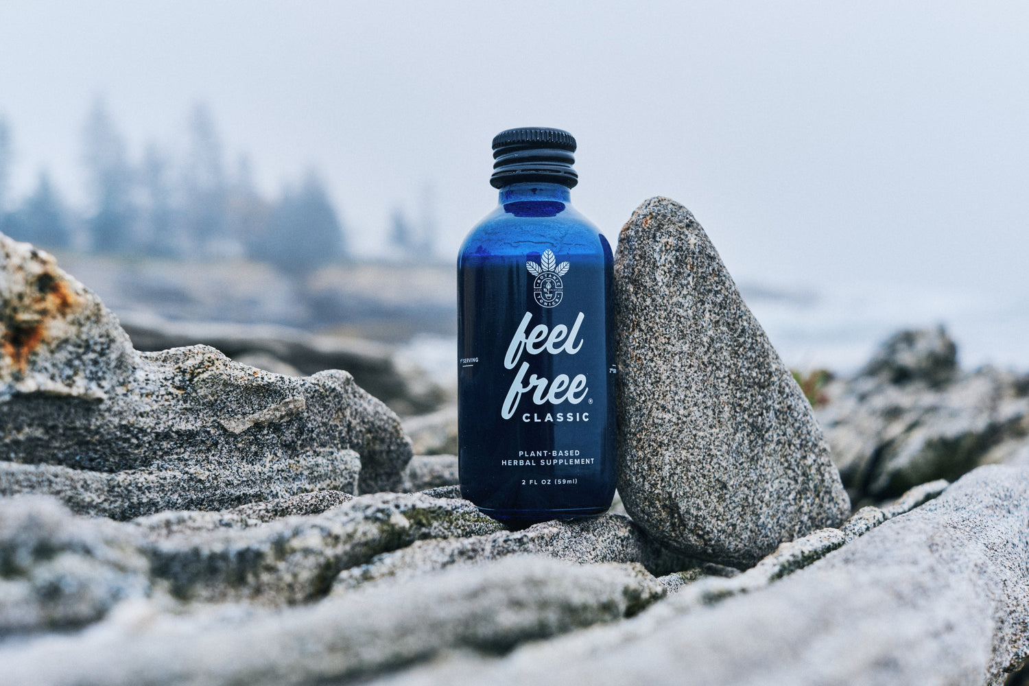 feel free Classic Tonic Testimonial: Riley Bowers’ Productivity Boost ...